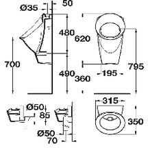 Urinoir - Toilettes | Cedeo