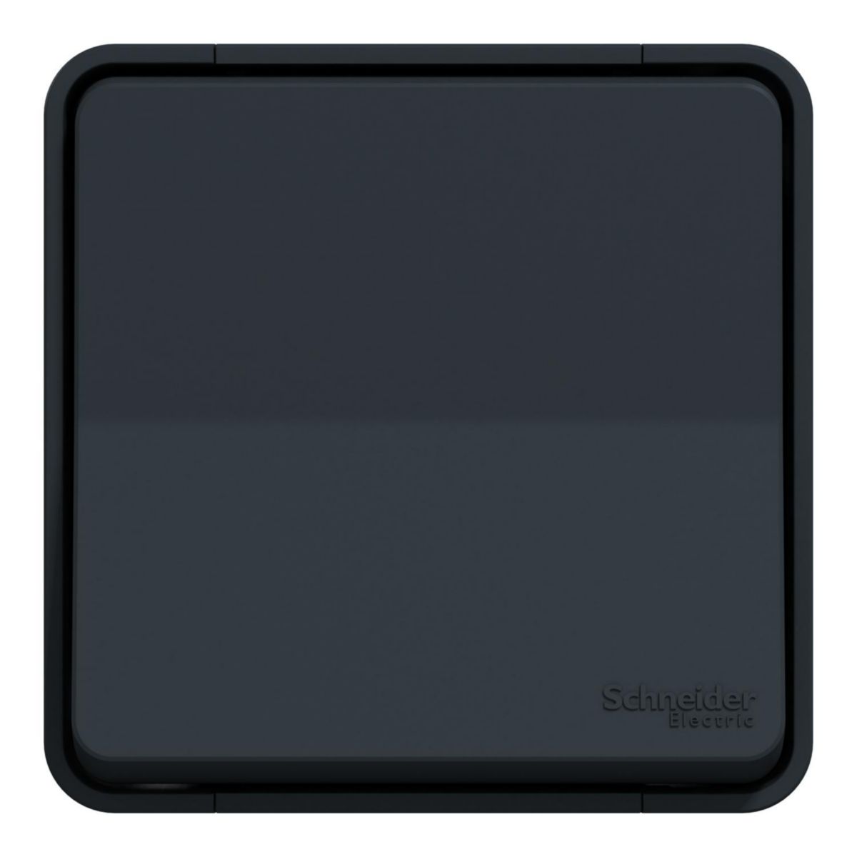 SCHNEIDER ELECTRIC - Mureva Styl - Va et vient - saillie - IP55 - IK08 ...