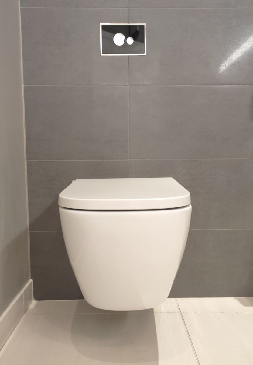 ALTERNA - Pack WC lavant dit japonais suspendu sans bride ZAO ZEN ...