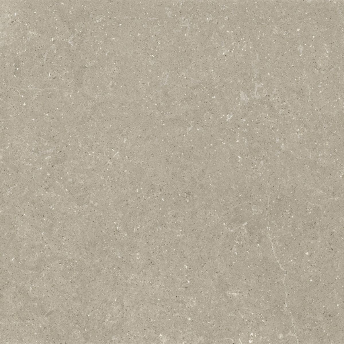 ARTE DECO - Grès cérame Arte Deco Othis beige rectifié 60 x 60 cm | Cedeo