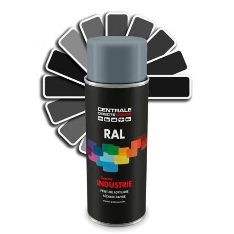 CHAPPEE - Bombe aérosol gris fonte 150 ml réf. C13900325 | Cedeo