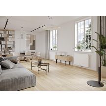 RADSON FRANCE - Radiateur eau chaude INTEGRA PARADA FLEX 8 CX Type 22 ...