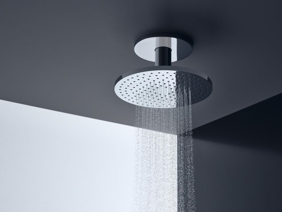 AXOR - AXOR ShowerSolutions Douche de tête 250 2jet avec raccordement ...