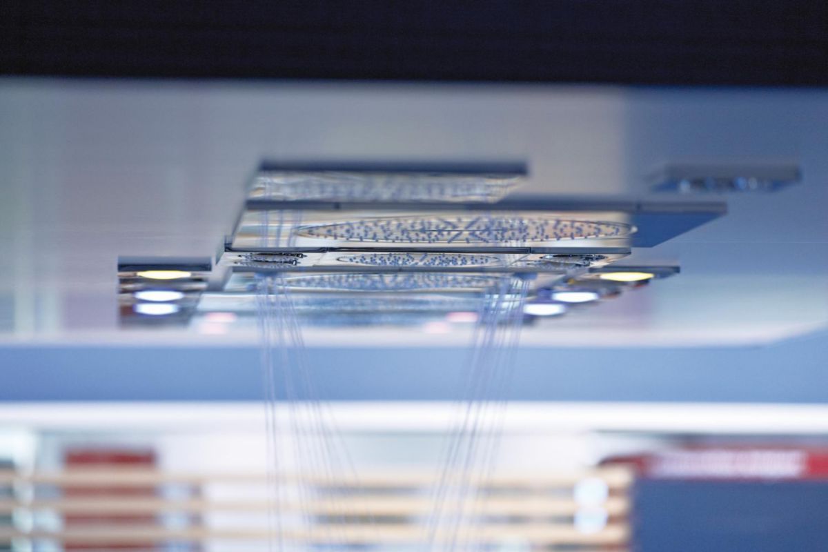 GROHE - Plafonnier douche 3 jets Rainshower F-Series Chromé REF ...