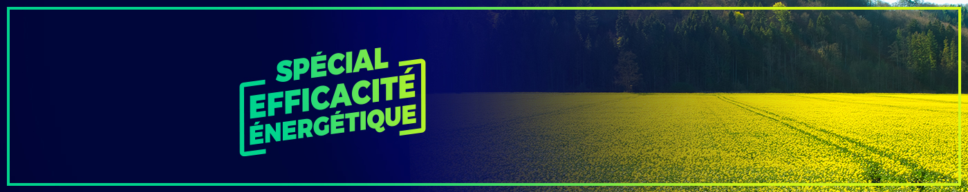 Installation au biofioul F30 : quels changements techniques