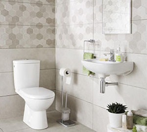 Comment choisir un WC ? – CEDEO